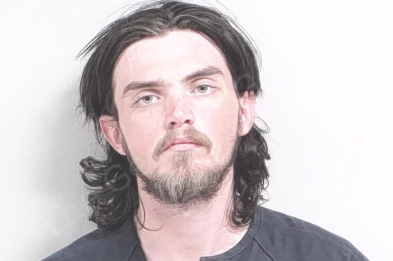 Levi Sikes — Lowndes County Jail Bookings