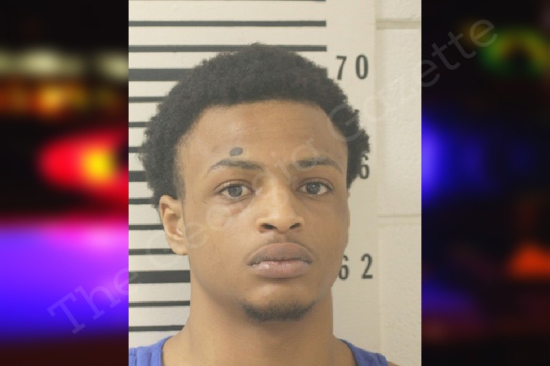 Brandon Smith — Toombs County Jail Bookings