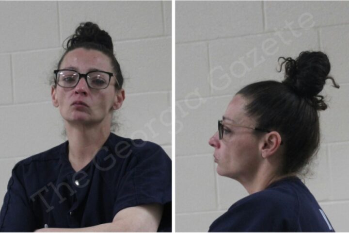 Denise Santangelo-Grate — Houston County Jail Bookings