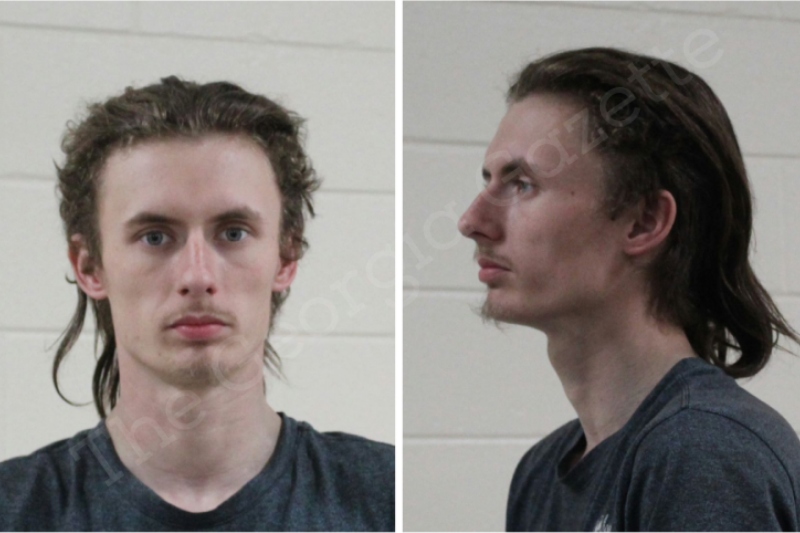 Hunter Story — Houston County Jail Bookings