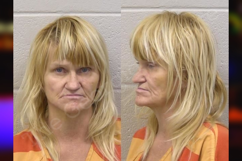 Lesia Timms — Paulding County Jail Bookings