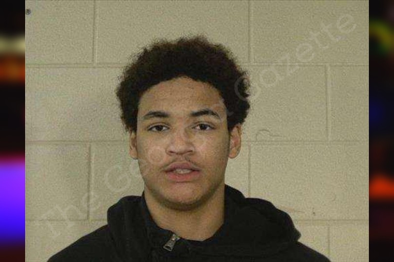 Mikail Trinidad — Liberty County Jail Bookings