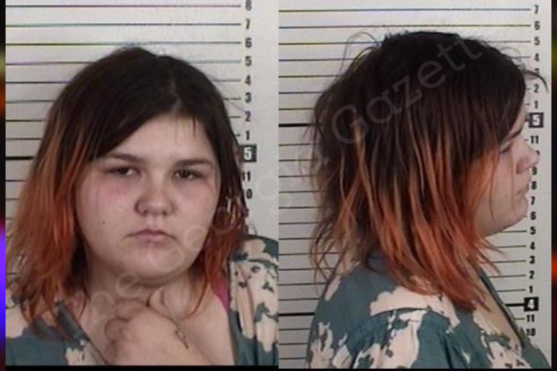 Cheyenne Underwood — Camden County Jail Bookings