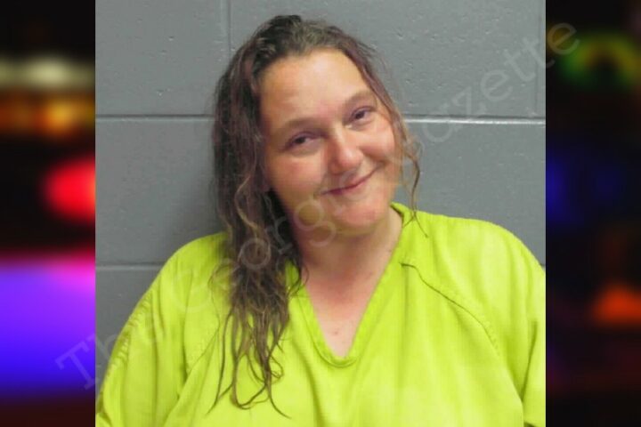 Ashleigh Vinson — Lee County Jail Bookings
