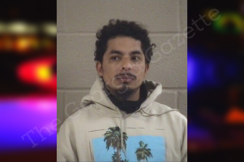 Ramon Villalobos — Whitfield County Jail Bookings