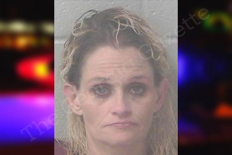 Jennifer Waddell — Newton County Jail Bookings