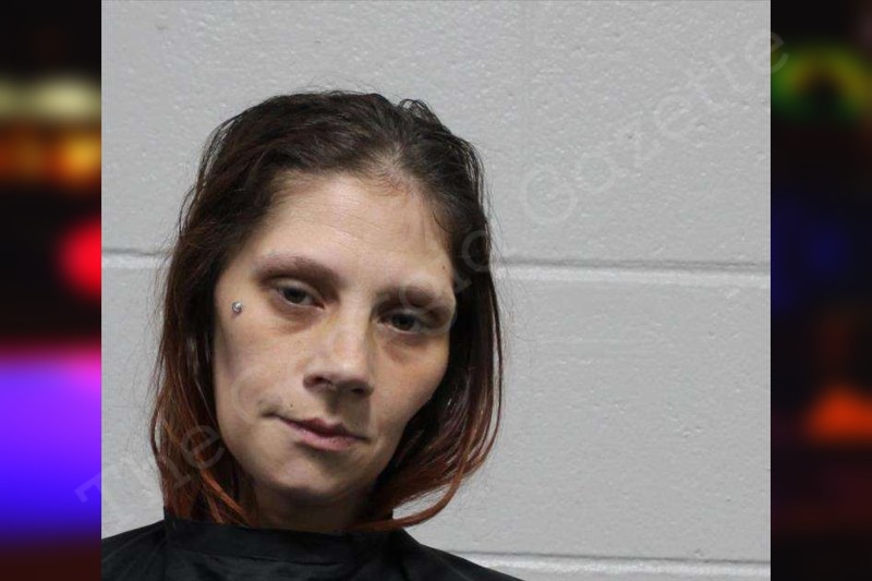 Jennifer Waid — Habersham County Jail Bookings