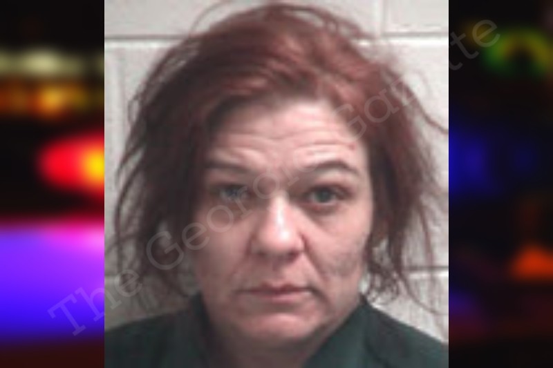 Kelly Whitaker — Henry County Jail Bookings