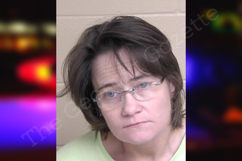 Amy White — Walker County Jail Bookings