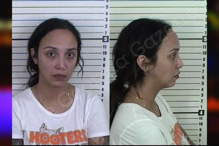 Joseline Wilson - Camden County Jail Bookings