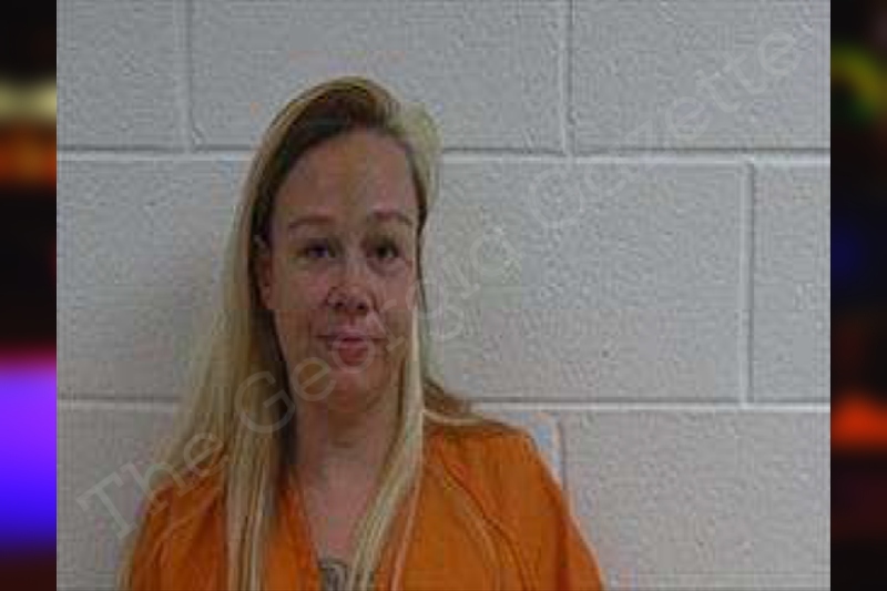 Lacey Woolfork — Polk County Jail Bookings