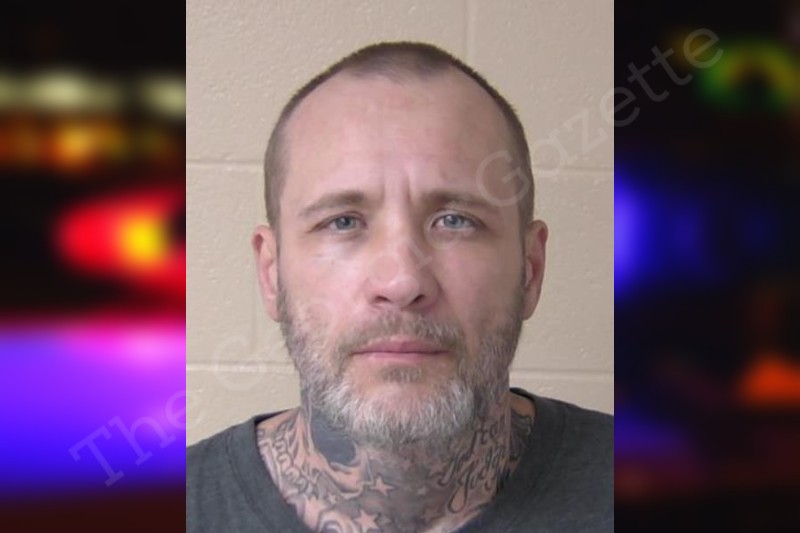 David Young — Walker County Jail Bookings