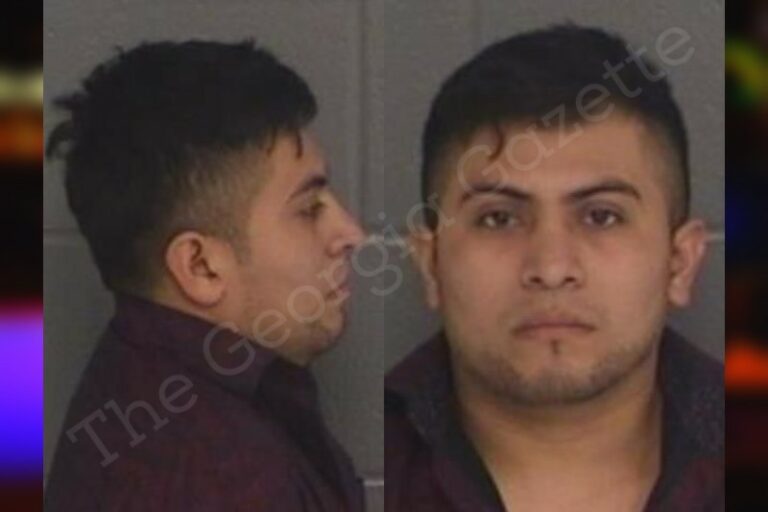 Denis Zeledon — Barrow County Jail Bookings