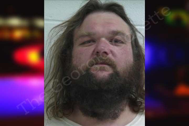 Dustin Andrews — Decatur County Jail Bookings Dustin Andrews — Decatur County Jail Bookings