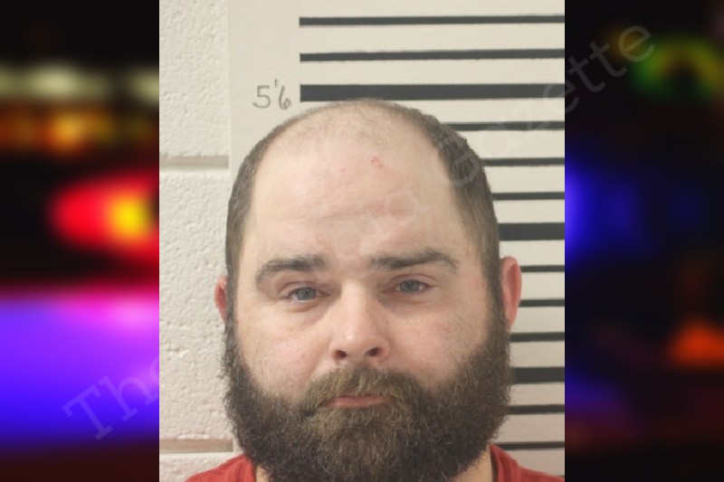 Brandon Barnes — Toombs County Jail Bookings