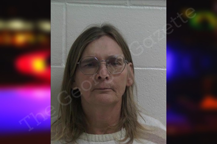 Jennifer Brand — Decatur County Jail Bookings