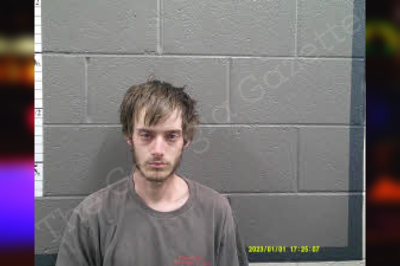 Bryce Robinson — Banks County Jail Bookings