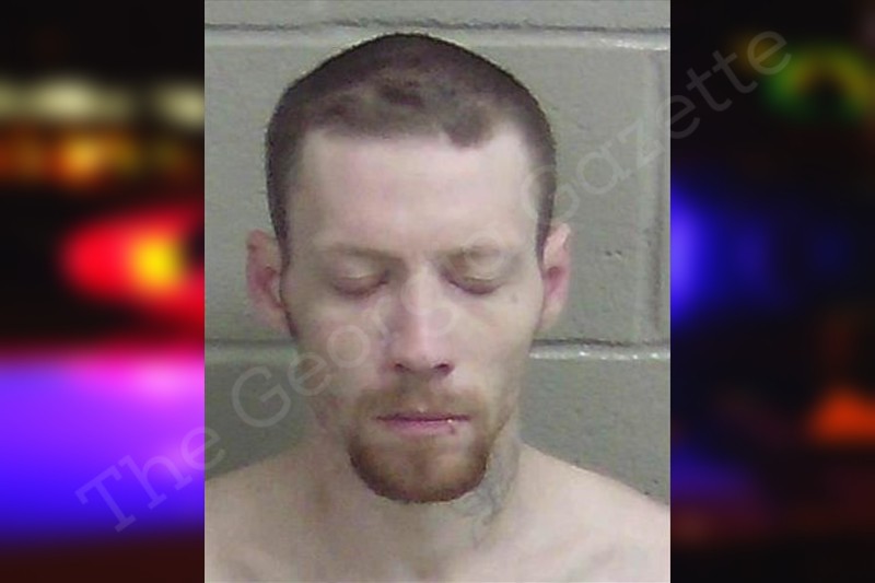 Michael Blocker — Wayne County Jail Bookings