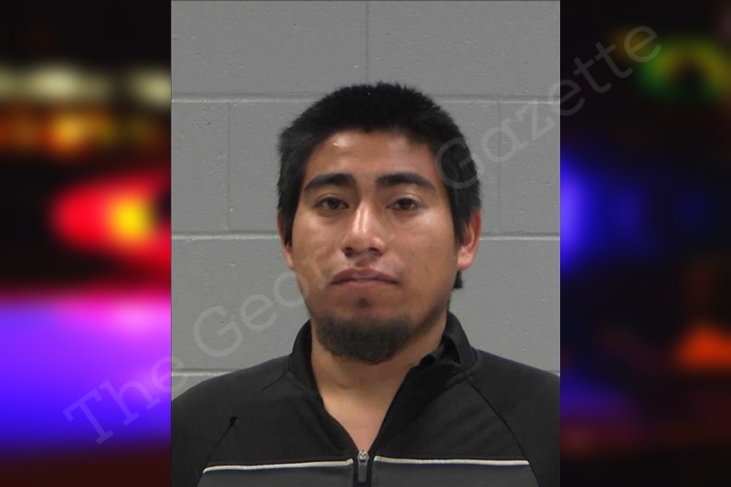Alex Brito — Baldwin County Jail Bookings Alex Brito — Baldwin County Jail Bookings