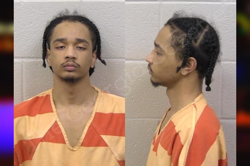 Peter Brown — Paulding County Jail Bookings