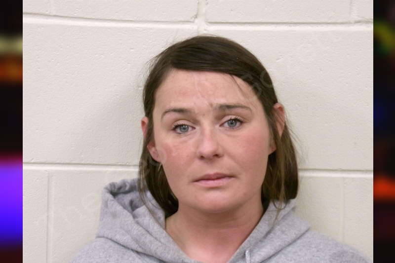 Samantha Burdett — Bulloch County Jail Bookings