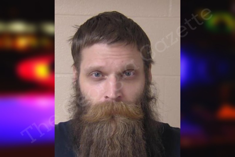 Matthew Burkhart — Walker County Jail Bookings