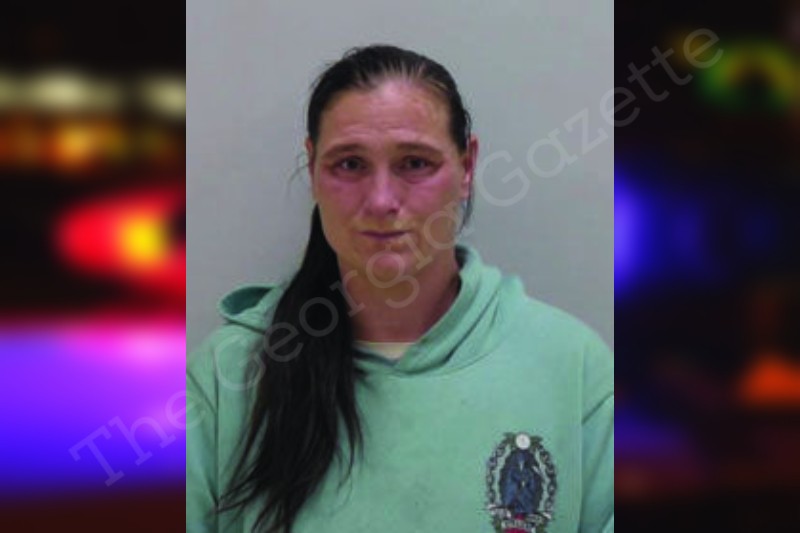 Jennifer Burnett - Bartow County Jail Bookings