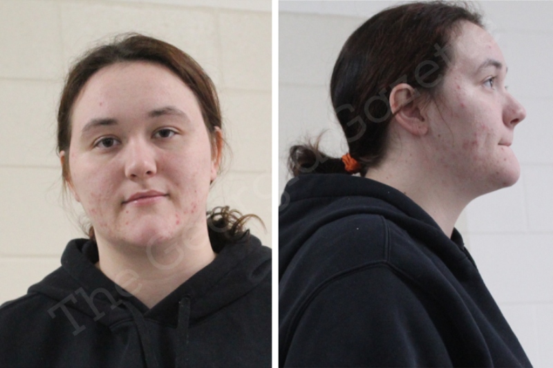 Jamie Buzzell — Houston County Jail Bookings