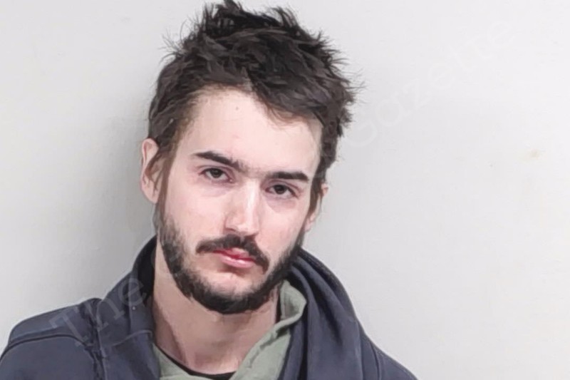 Gabriel Carlo — Lowndes County Jail Bookings