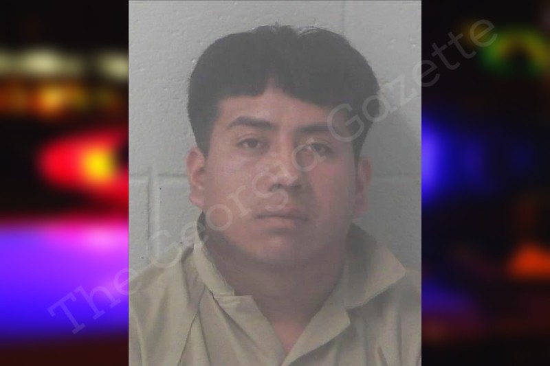 Alex Chavez — Newton County Jail Bookings