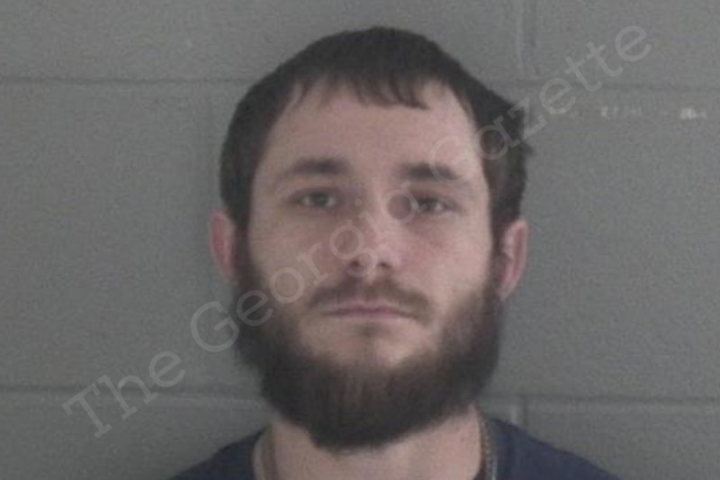 Matthew Colflesh — Brantley County Jail Bookings