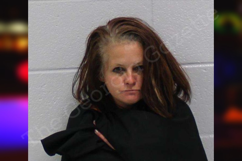 April Collins — Carroll County Jail Bookings