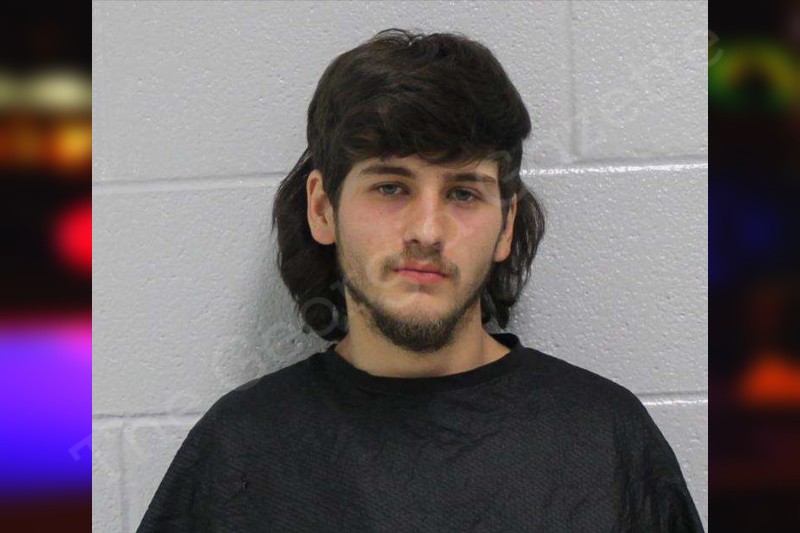 Mitchell Cook — Carroll County Jail Bookings