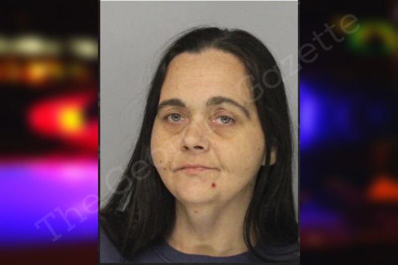 Amanda Craig — Hall County Jail Bookings