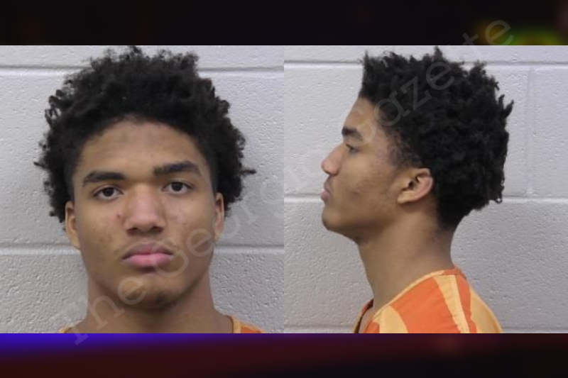 Zion Campbell — Paulding County Jail Bookings
