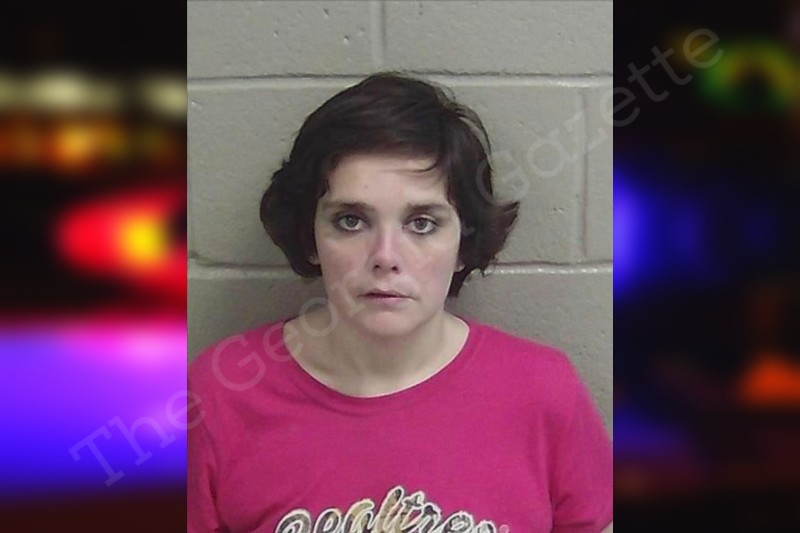 Amber Clements — Wayne County Jail Bookings