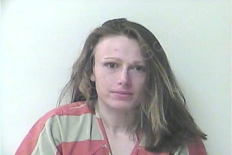 Brittany Coon — Oconee County Jail Bookings