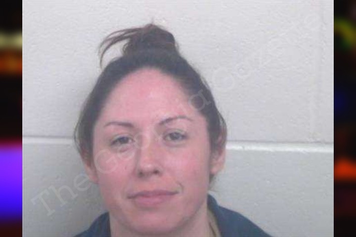 Taylor Dominey — Washington County Jail Bookings