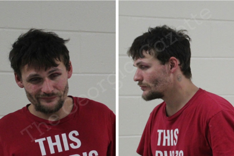 James Dominick — Houston County Jail Bookings