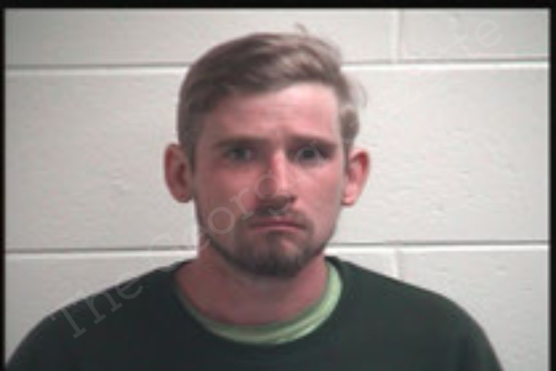 Charles Emmons — Henry County Jail Bookings