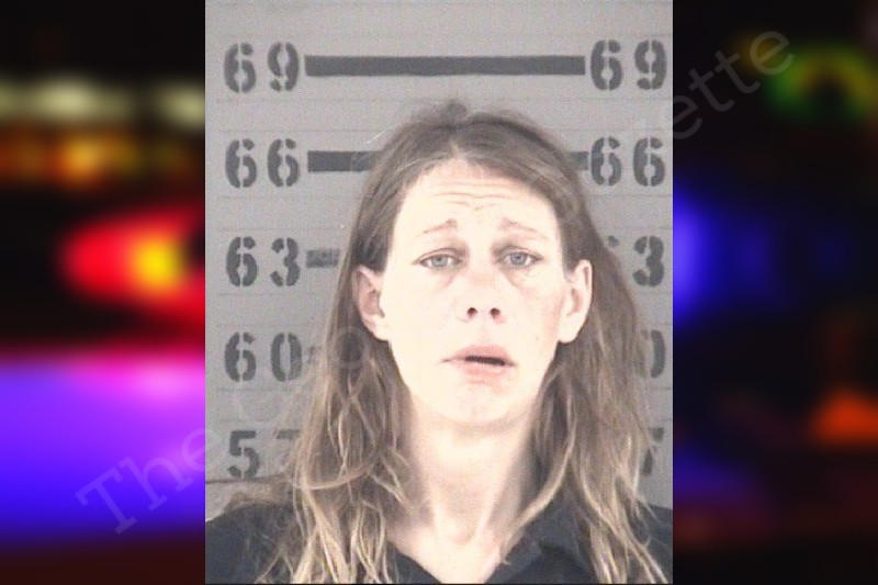 Kellie Emmons — Dougherty County Jail Bookings