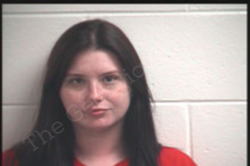 Savannah Fegan — Henry County Jail Bookings