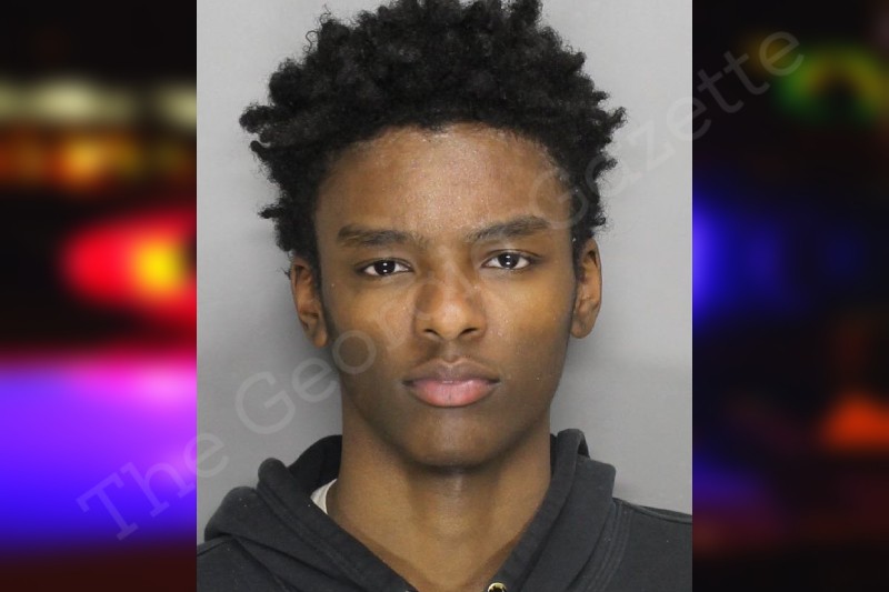 Ariyen Flakes — Cobb County Jail Bookings