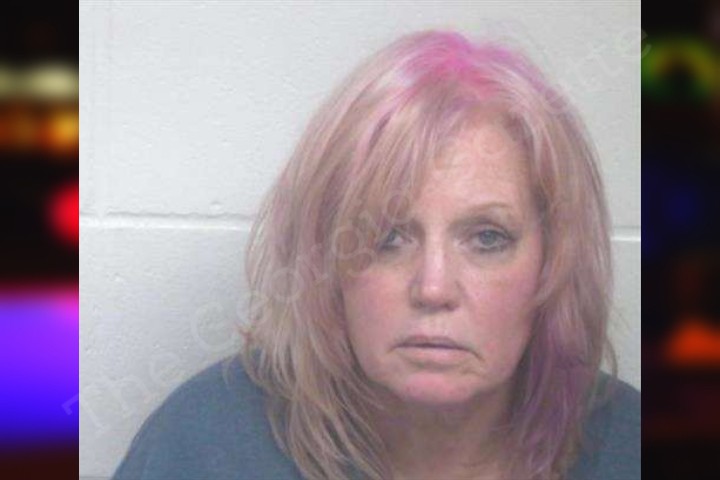 Cynthia Foley — Washington County Jail Bookings
