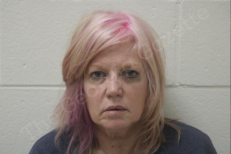 Cynthia Foley — Jones County Jail Bookings