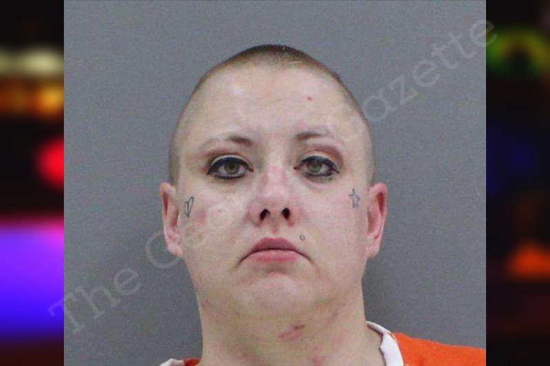 Megan Frady — Rabun County Jail Bookings