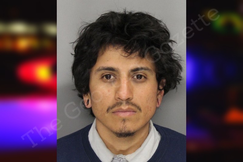 Diego Garcia — Cobb County Jail Bookings 6980