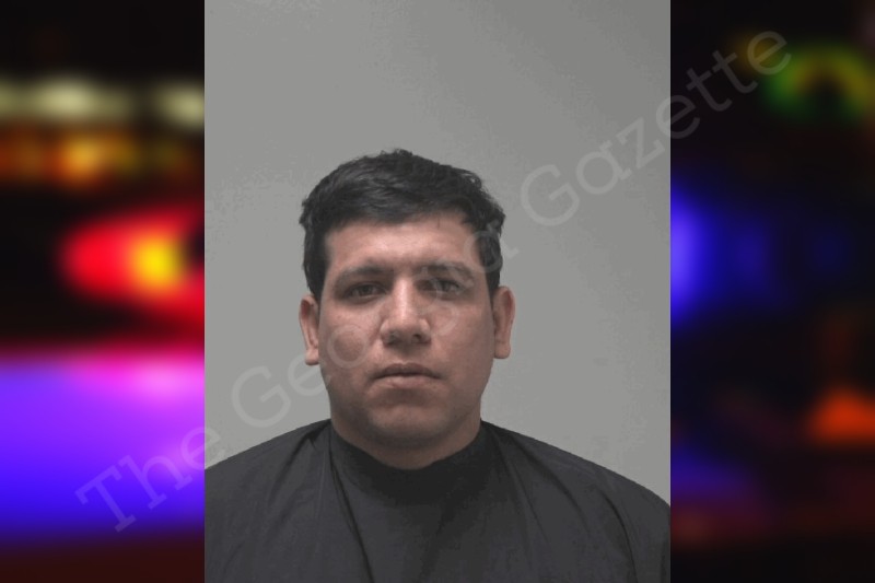 Luis Gascon-Guedes — Coweta County Jail Bookings