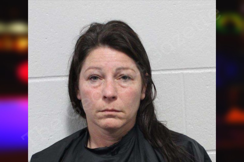 Michelle Gregory — Habersham County Jail Bookings