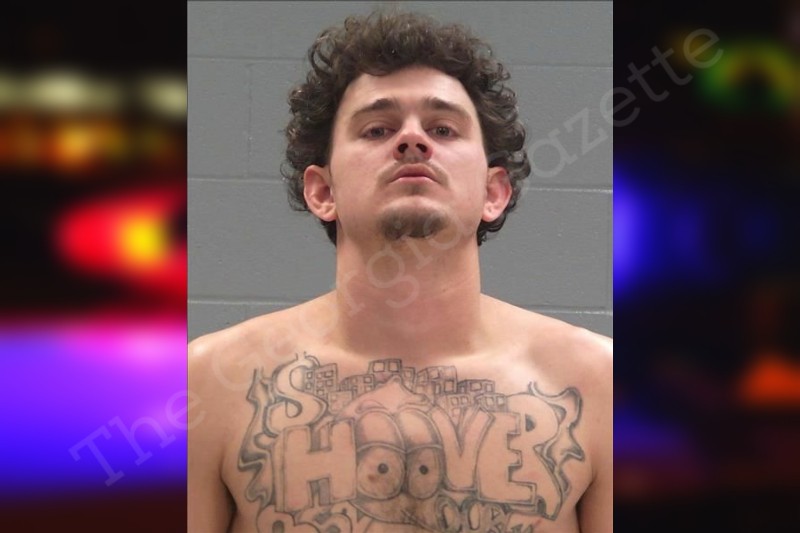 Austin Hoover — Baldwin County Jail Bookings